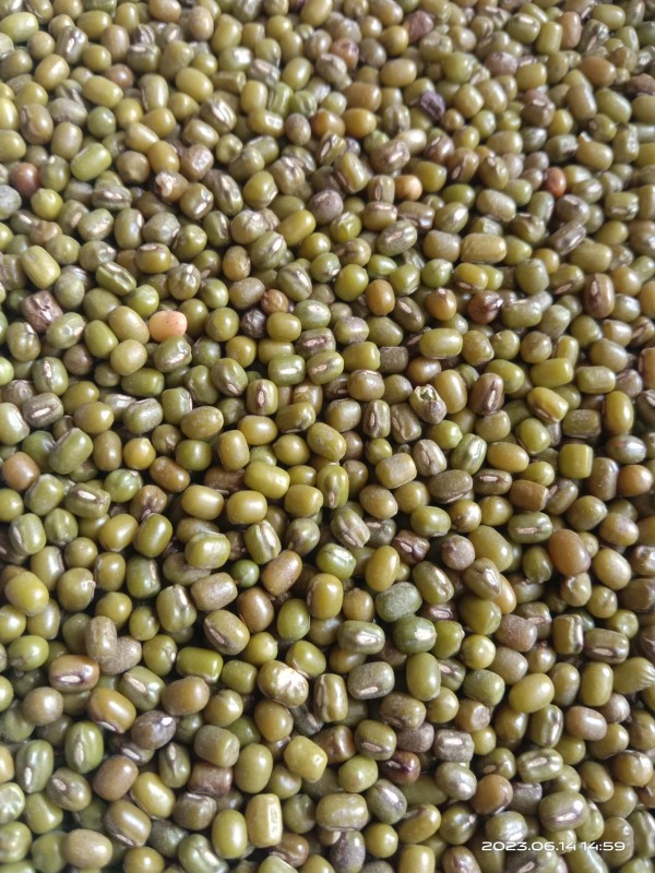 Uzhavan Unavu - Organic - Green gram / Moong dhall / Pachaiparupu - 1 kg