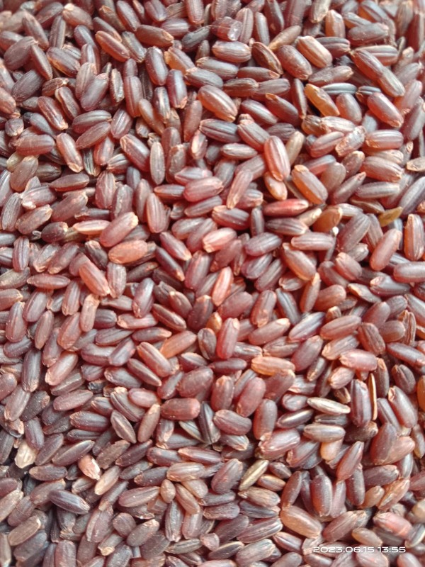 Uzhavan Unavu - Organic - Traditional karunkuruvai rice / Red rice ...