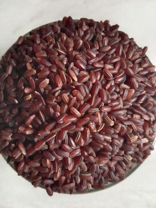 Uzhavan Unavu - Organic - Traditional poongar rice(Red Rice) Boiled -1kg