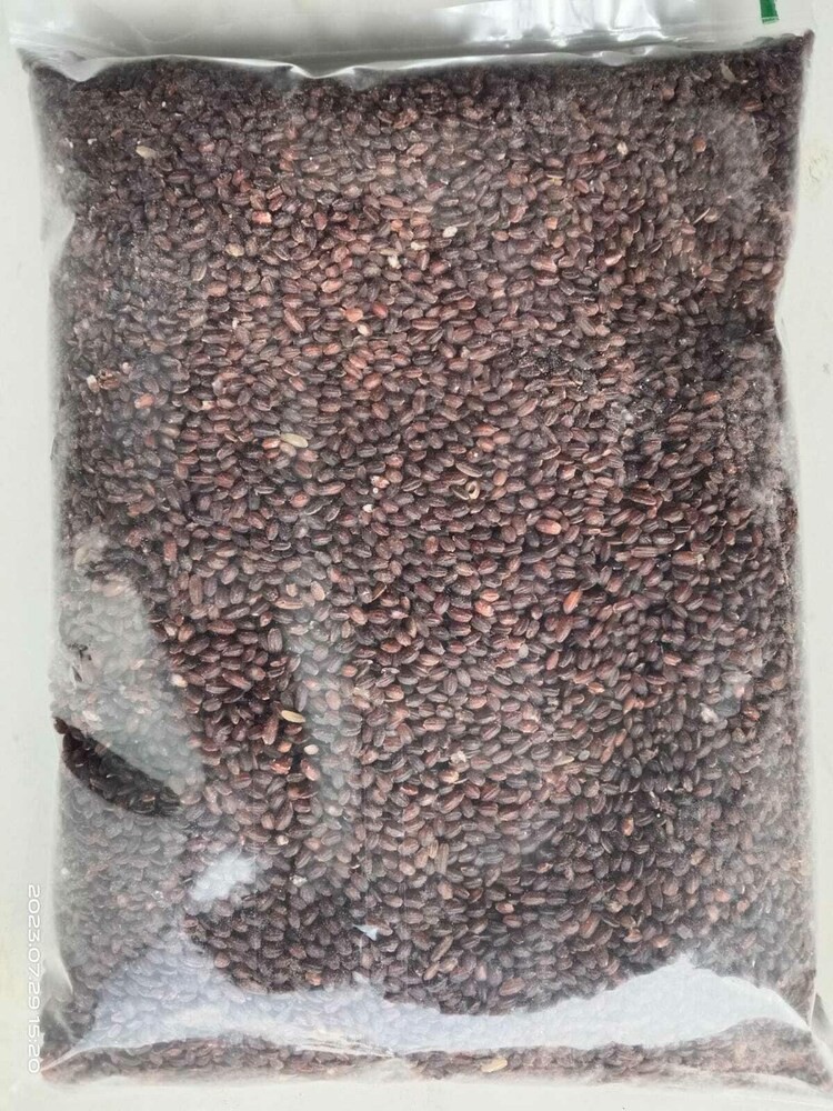 Uzhavan Unavu - Organic Traditional Kothamalli Samba (Red Rice) 1 year ...