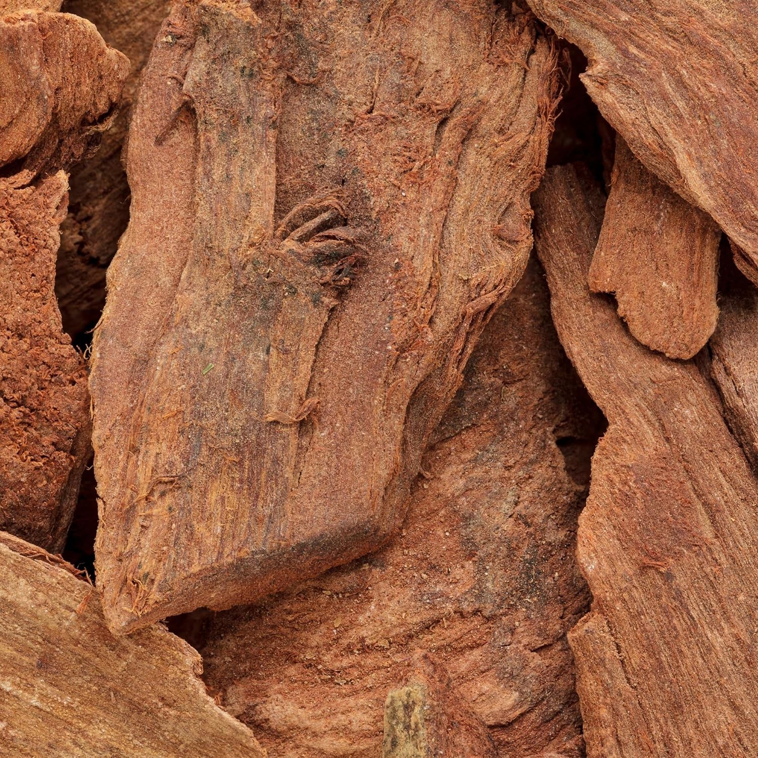 Nxtgen Ayurveda Arjun Bark Powder - 250 gms