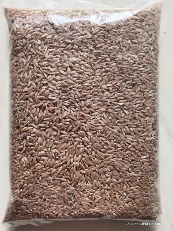 Uzhavan Unavu-Samba godhumai/Samba wheat /Saamba gehoon - 1 Kg