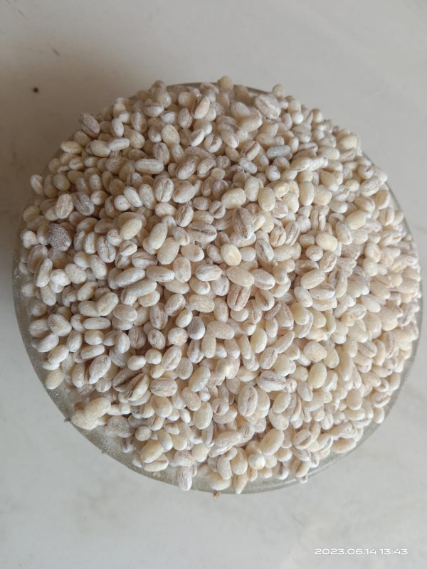 Uzhavan Unavu - Barley rice/ Jau chaaval - 500 Gm